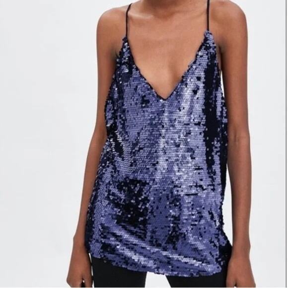 Zara | Tops | Zara Sequin Camisole Top | Poshmark